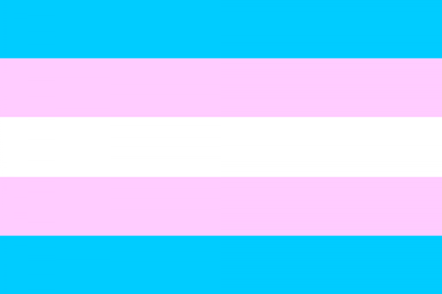 Trans Student Educational Resources