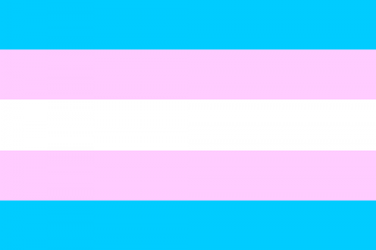 Trans Student Educational Resources